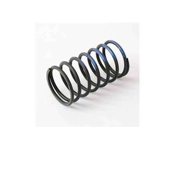 Turbosmart TS-0502-2003 7PSI Outer Wastegate Spring Pro-Gate 50 & Powe ...