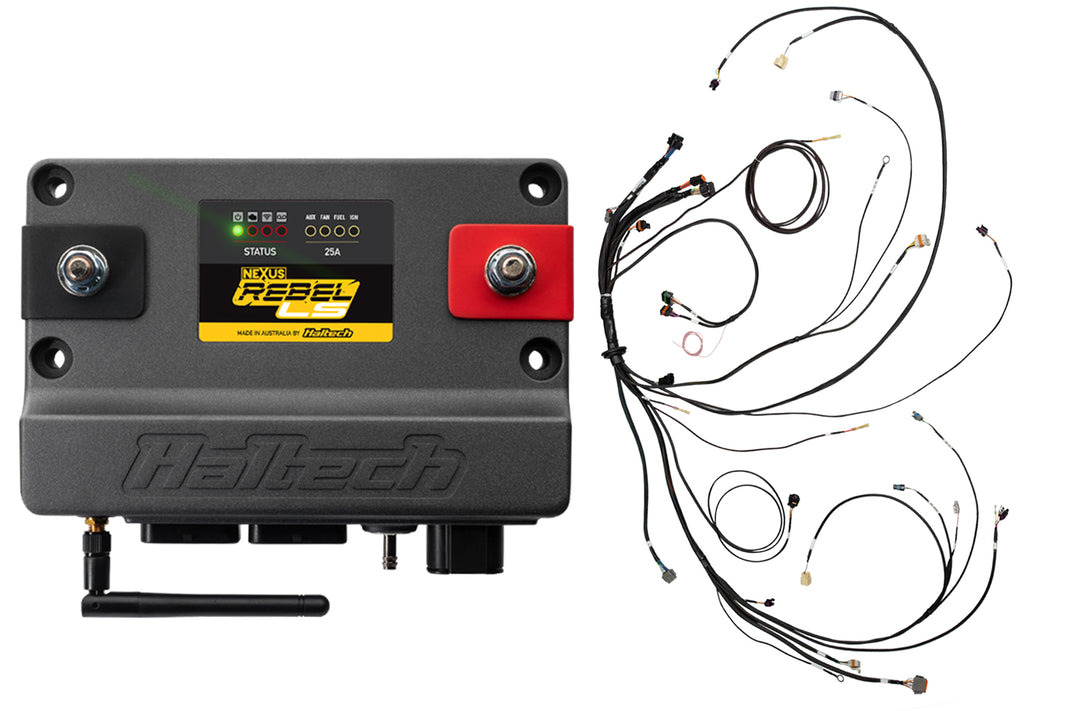 Haltech – Engine Master